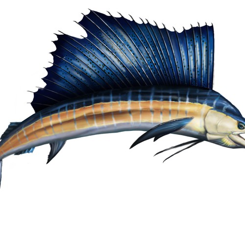 Sailfish Graphic for Fishing tournament brochure - must be original ...