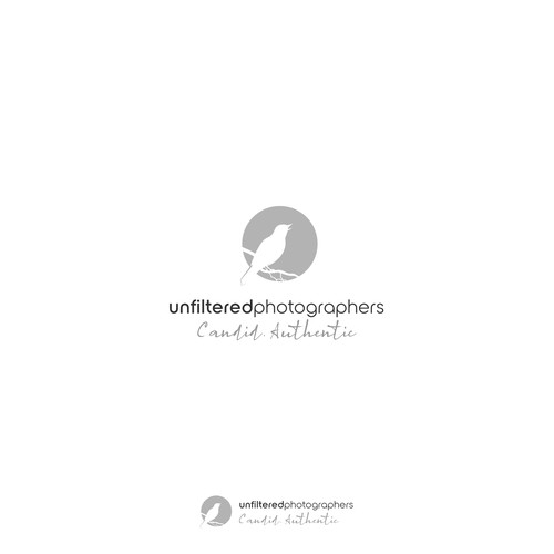 Designs | Professional high-end logo for candid community event ...