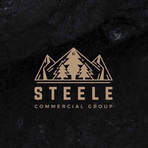 Designs | Steele Commercial Group | Logo design contest