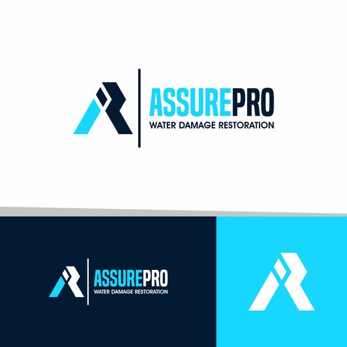 Designs | Transforming Water Damage into Art – Logo for a Thrilling ...