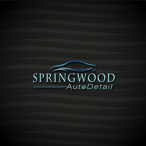 Logo Needed for High End Auto Detailing & Car Wash Co. | Logo design ...