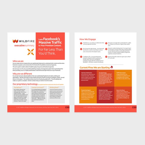 digital agency executive summary | Poster contest