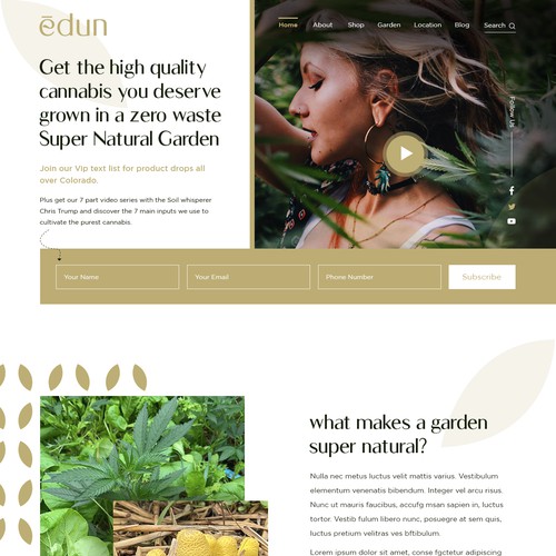 Designs | We need a powerful web design for our Sustainable Cannabis ...