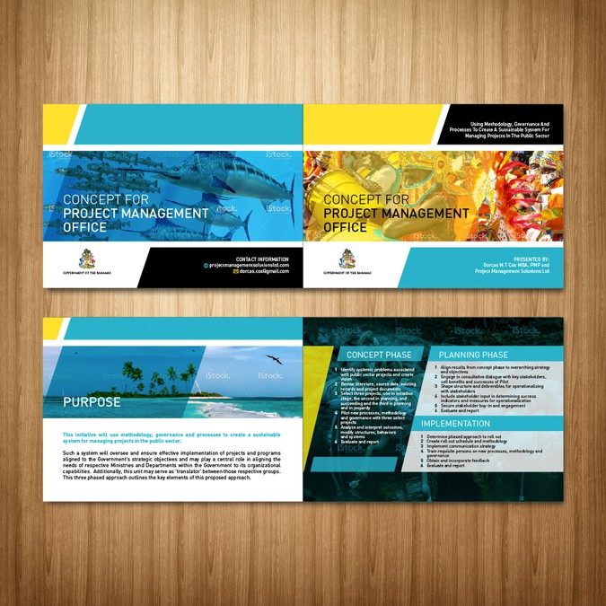 Create a Captivating Brochure for the Government of The Bahamas ...
