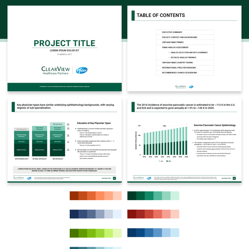 Refine New PowerPoint Template and Color Palette for Healthcare ...