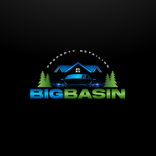 Designs | Design an auto/property detailing logo for an up and coming ...