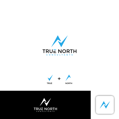 Designs | True North Consultants | Logo design contest