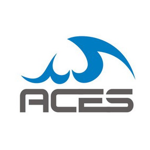 Help Aces with a Logo and Typography | Logo design contest