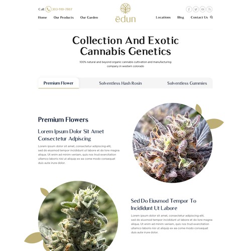 Designs | We need a powerful web design for our Sustainable Cannabis ...