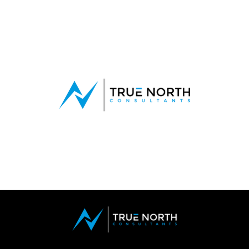 Designs | True North Consultants | Logo design contest