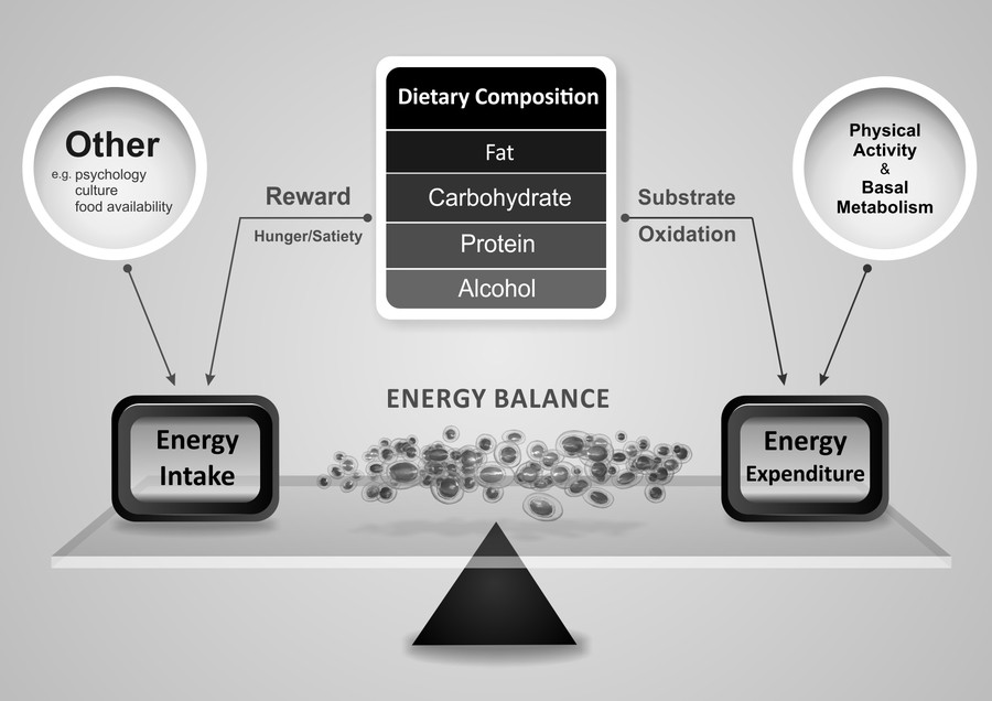 Energy Balance Graphic | Illustration or graphics contest