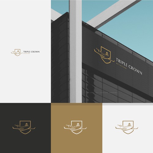 Designs | Luxury Logo Designers We Need You! Triple Crown Aviation ...