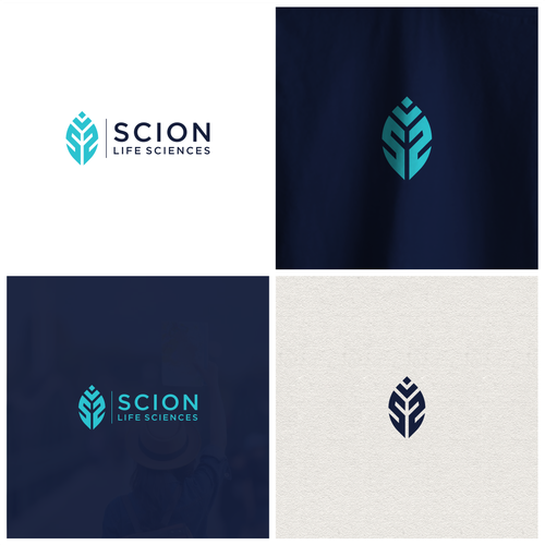 Designs | Putting the Finishing Touches on Our Life Sciences Company ...