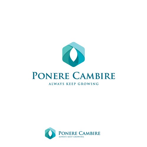 Designs | Help design a professional logo that emulates positivity ...
