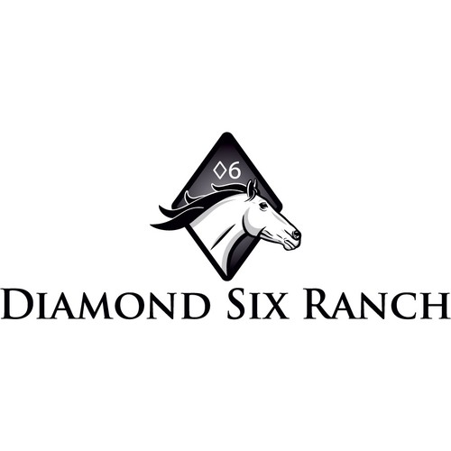 Logo for Diamond Six Ranch | Logo design contest