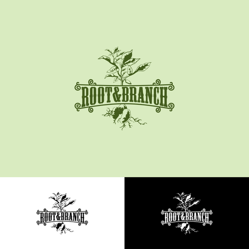 Create a logo for gourmet functional foods | Logo & brand identity pack ...