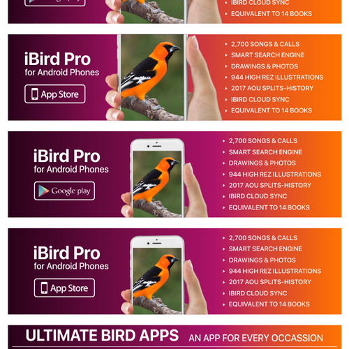Create 3 winning banner ads for the iBird Guide to Birds app | Banner ...