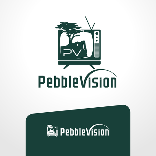 Designs | PebbleVision | Logo design contest
