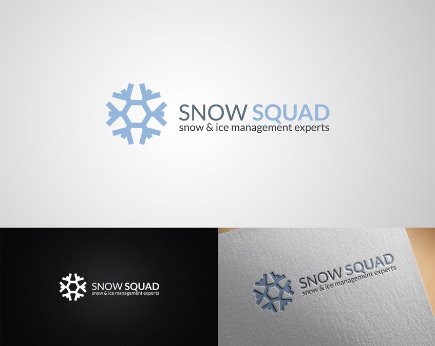Build a simple, revolutionary logo for snow removal experts. | Logo ...