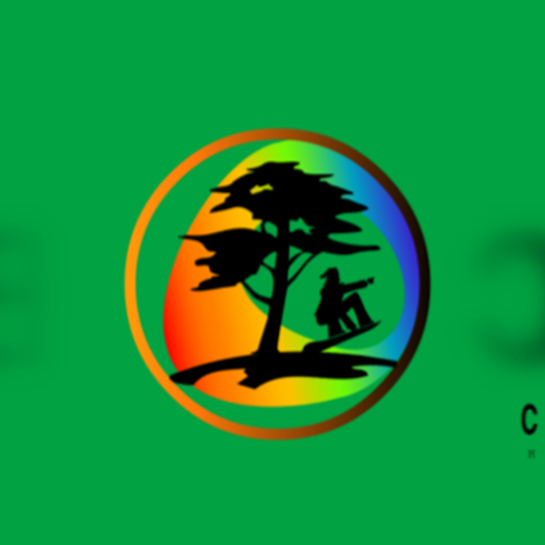 New logo wanted for We want two logos...Cooktown Bargain Barn and ...