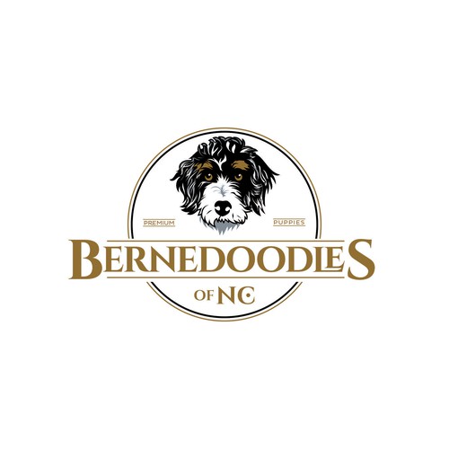 Designs | Bernedoodle dog logo capturing beauty & whimsical fun of the ...