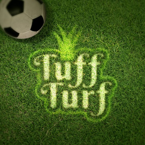 Create a powerful first impression for Tuff Turf with a logo and ...