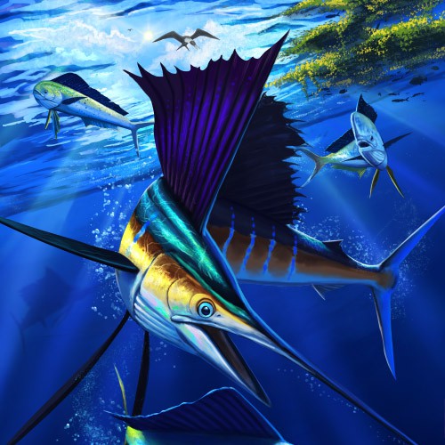 Sailfish Graphic for Fishing tournament brochure - must be original ...