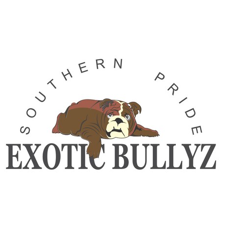 Create a detailed Exotic English Bulldog logo with Mascot for Southern ...