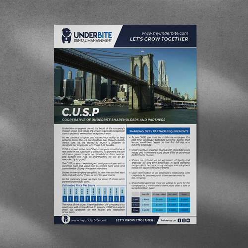 Designs | Company Stock Grant Plan Infographic Flyer/document ...