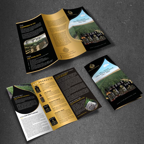Create a brochure for Tru Organics - High CBD Hemp Oil Products ...