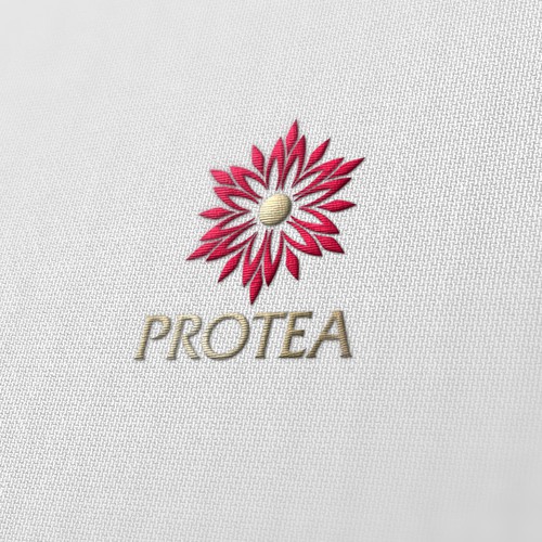 Designs | PROTEA logo--supporting programming to prevent and treat ...