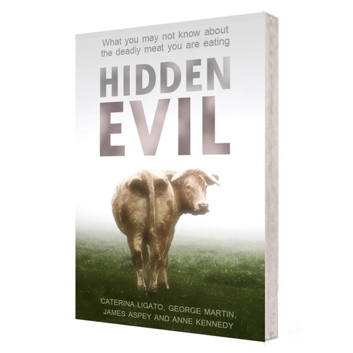 Designs | Hidden Evil Contest | Book cover contest