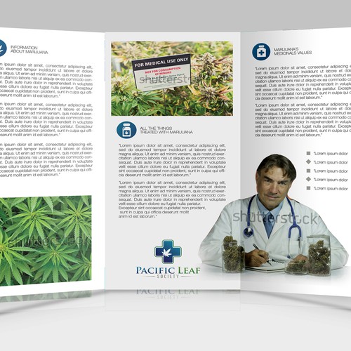 Create a capturing educational brochure for a medical marijuana ...