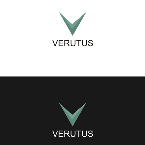 Verutus - Armed with a spear! We want a cool logo for our security ...