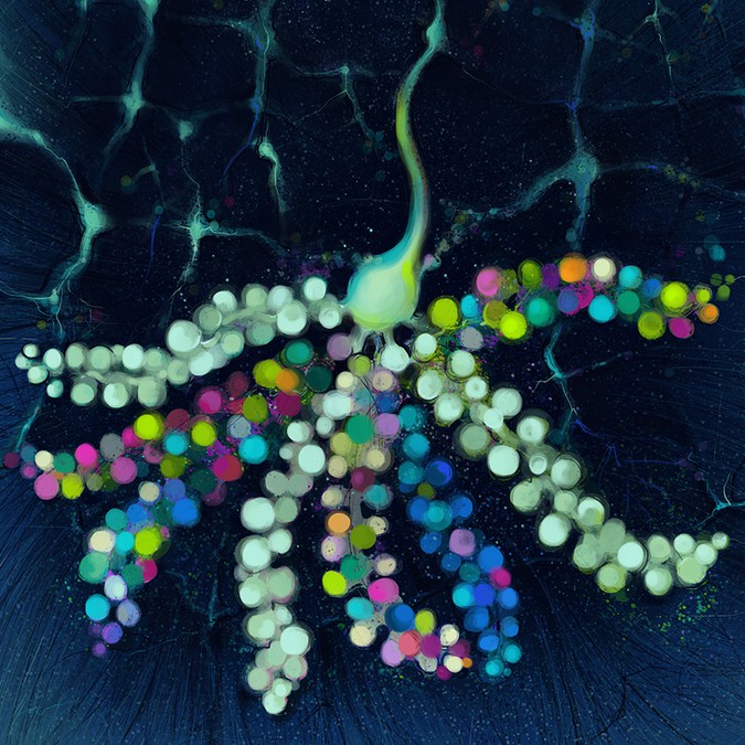 Illustration for the cover of prestigious neuroscience journal, Nature ...