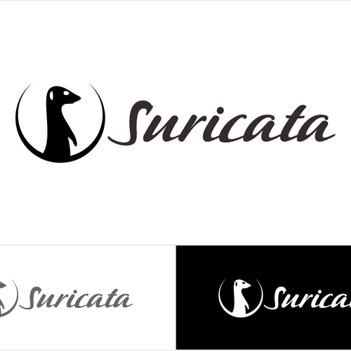Looking for a logo for Electronic Music Production Project Suricata ...