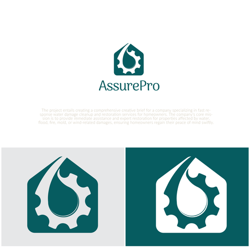 Designs | Transforming Water Damage into Art – Logo for a Thrilling ...