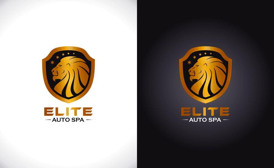 Create a logo for a high end Car Wash/Auto Spa | Logo design contest
