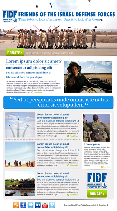 friends of the Israel Defense Forces - FIDF needs a new design | Other ...