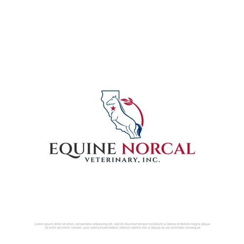 Designs | Looking for an eye catching and powerful equine veterinary ...