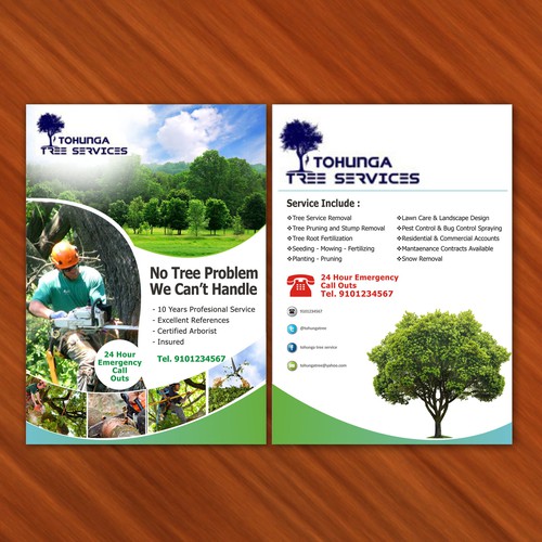 Design a professional flyer that stands head and shoulders above the ...