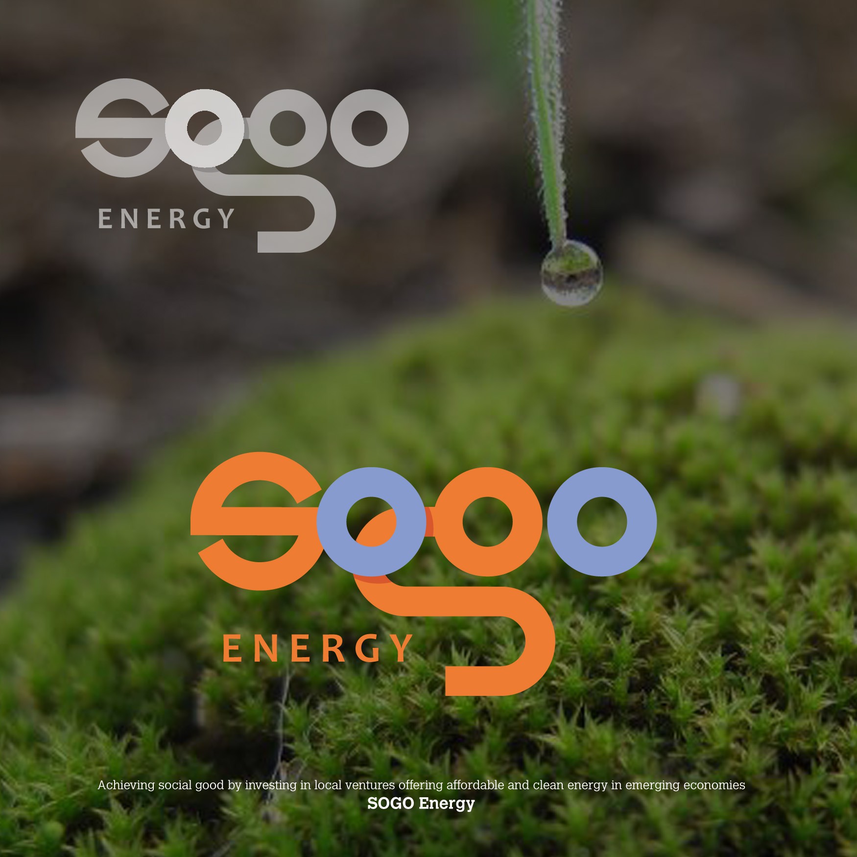 Eco Logos - Free Eco Logo Ideas, Design & Templates