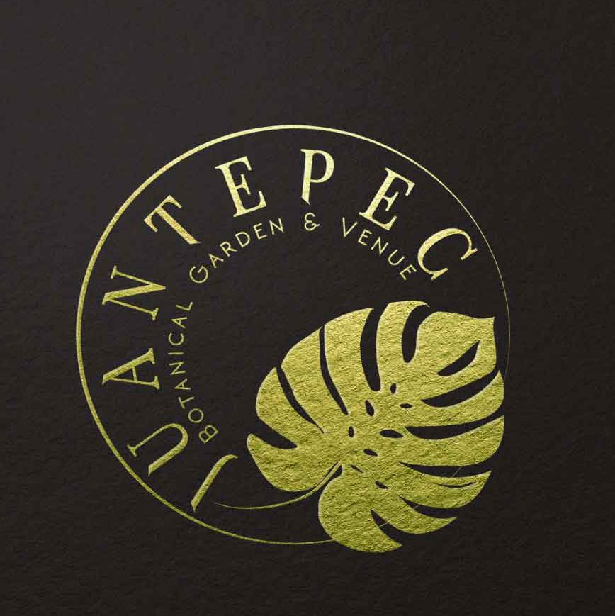 Crêpe Logos - Free Crêpe Logo Ideas, Design & Templates