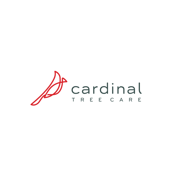 Cardiologist And Cardiology Logos - Free Cardiologist And Cardiology ...