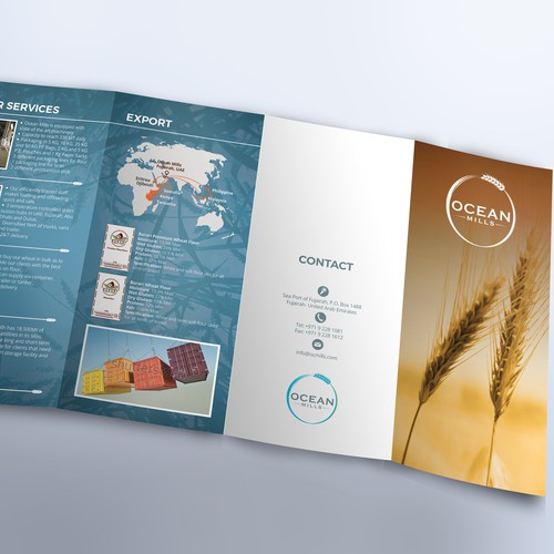 Flour Brochure | Brochure contest