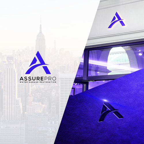 Diseños | Transforming Water Damage into Art – Logo for a Thrilling ...