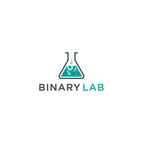 I establish a new company “Binary Lab” for software application and I ...