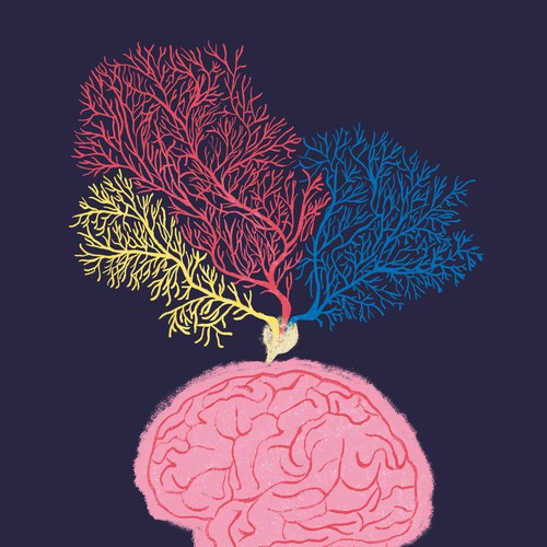 Illustration for the cover of prestigious neuroscience journal, Neuron ...