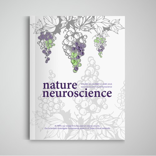 Illustration for the cover of prestigious neuroscience journal, Nature ...