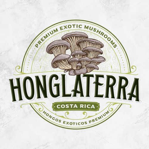 Seminar Logos - 52+ Best Seminar Logo Images, Photos & Ideas | 99designs